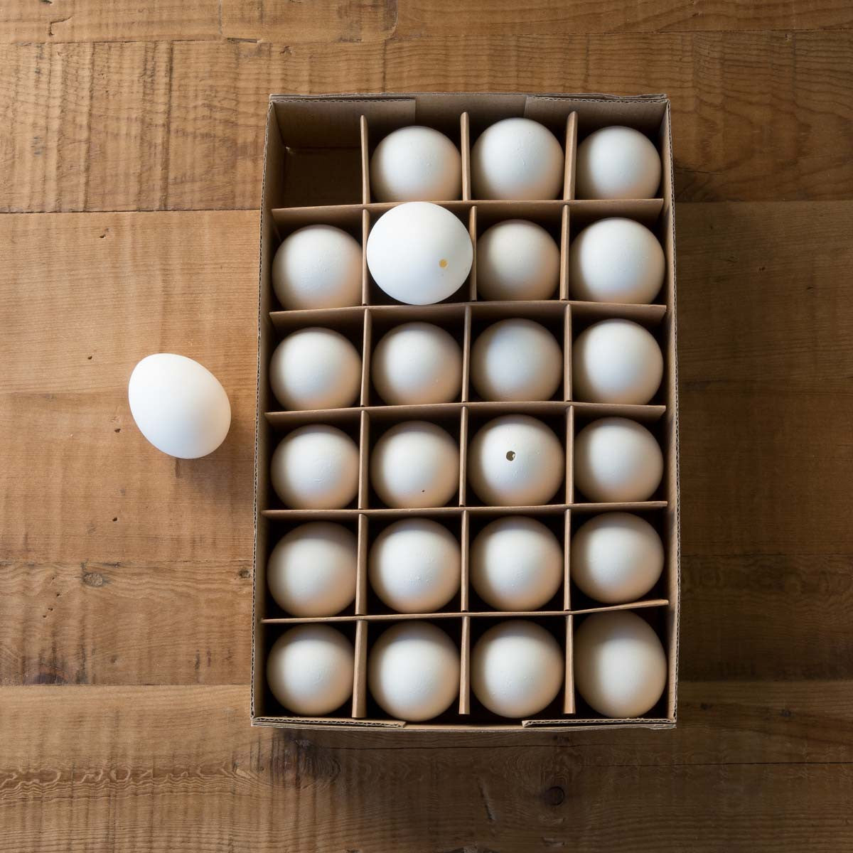 Natural White Chicken Egg Shells, Set of 24 – The Gingered Farmhouse