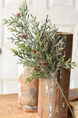 Wind Chill Juniper Spray – The Gingered Farmhouse